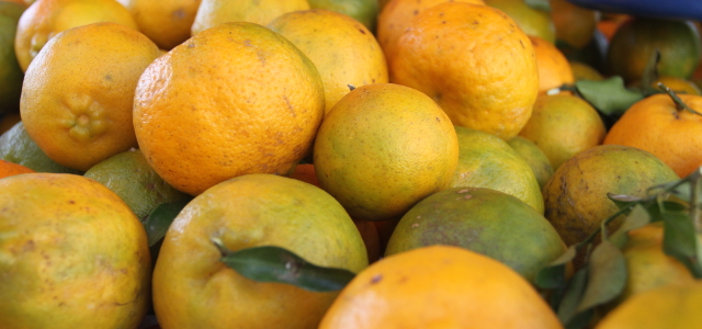 Ponkan é a nova fruta do Ponto da Economia - Prefeitura Municipal de ...